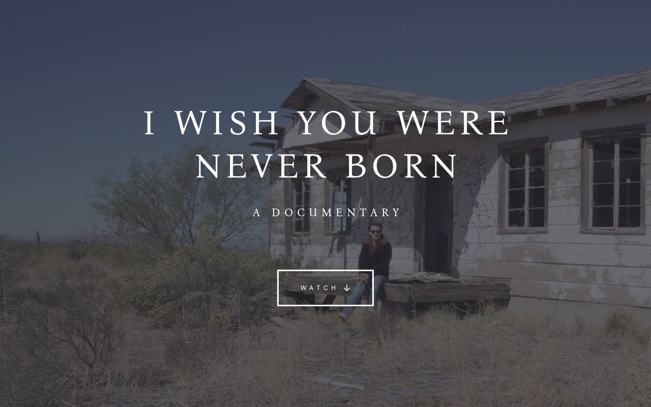I Wish You Were Never Born